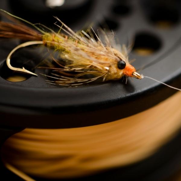 Emerger Fly Fishing | South Africa